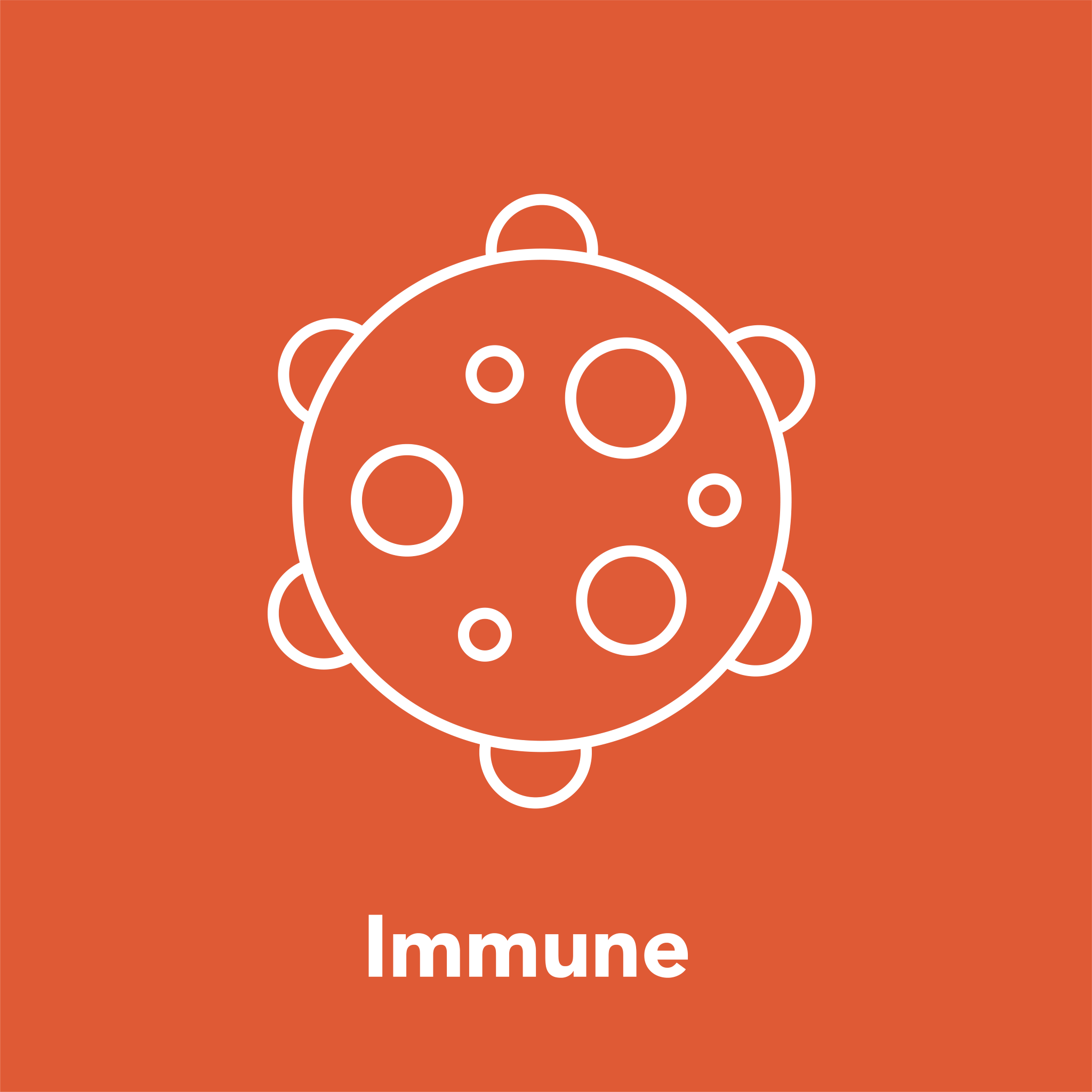 Superfood Science: Top Supplements For True Health From The Inside Out