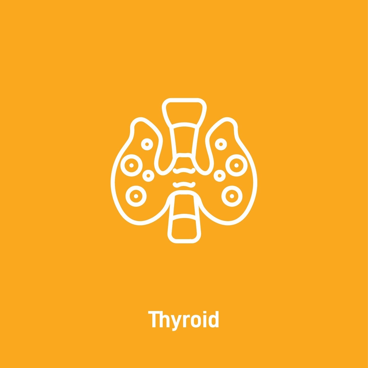 Superfood Science: Top Supplements For True Health From The Inside Out