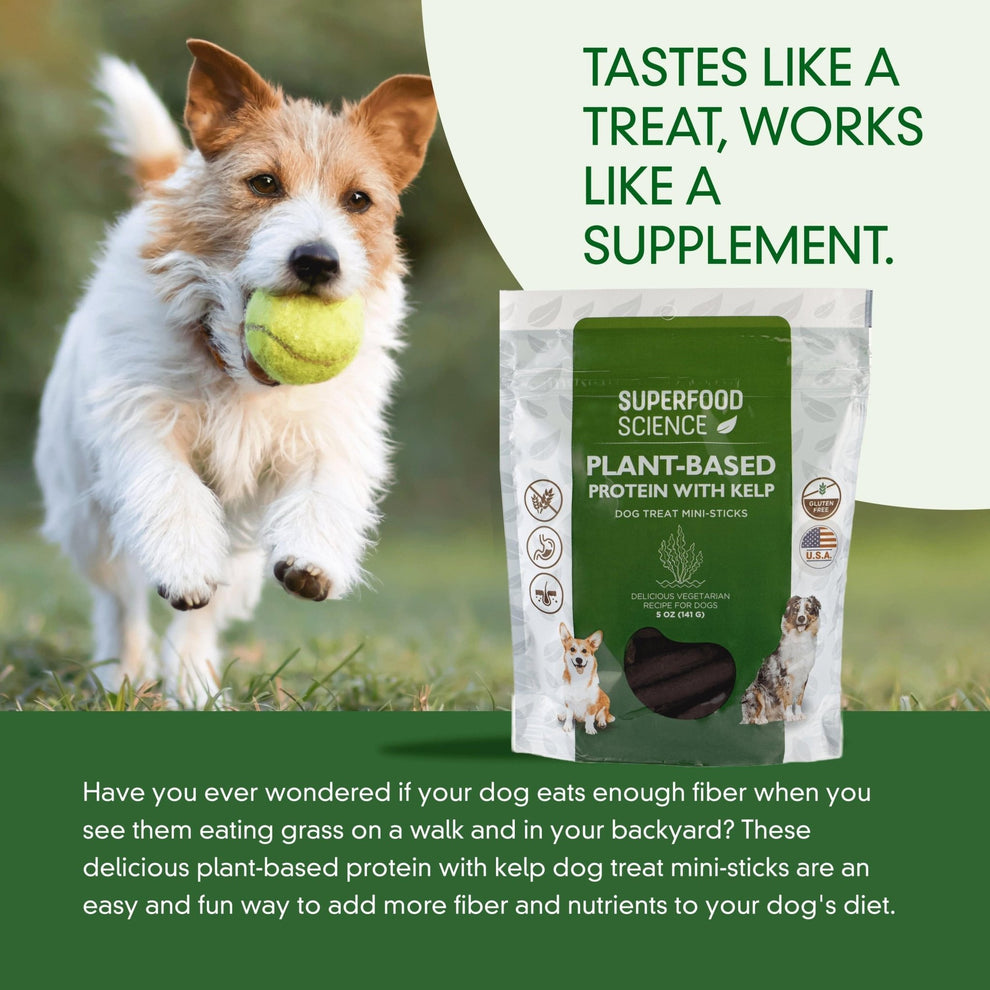 Plant-Based Protein with Kelp Dog Treat Mini-sticks – Superfood Science