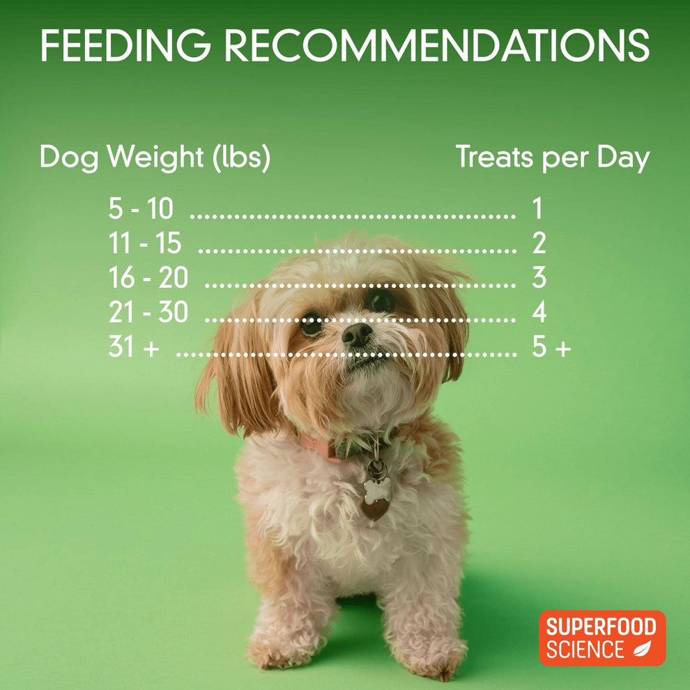 Plant-Based Protein with Kelp Dog Treat Mini-sticks – Superfood Science