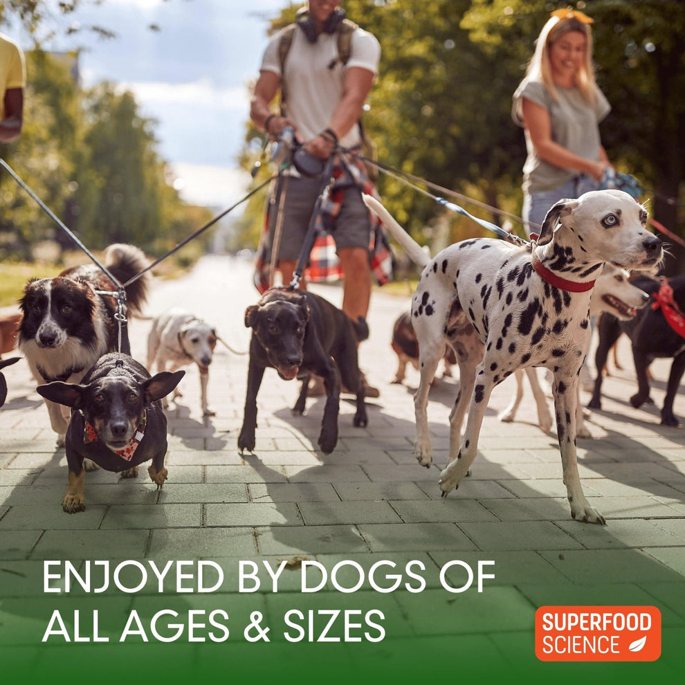 Plant-Based Protein with Kelp Dog Treat Mini-sticks – Superfood Science